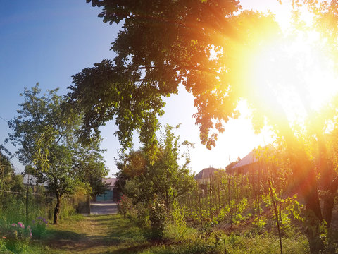 Ismayilli Images – Browse 476 Stock Photos, Vectors, and Video | Adobe ...