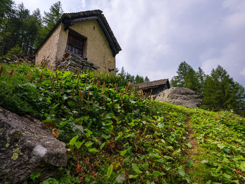 Beole Bilder – Durchsuchen 47 Archivfotos, Vektorgrafiken und Videos ...