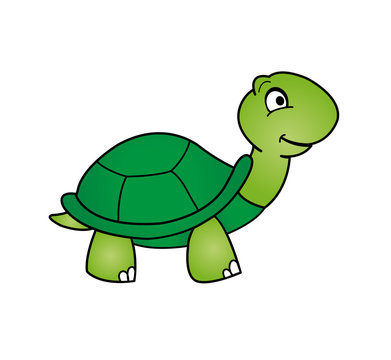 Slow Turtle Cartoon