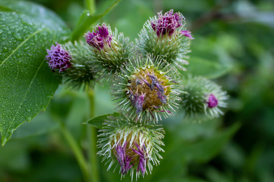 "Austin Koeckeritz"-Bilder: Stock-Fotos & -Videos. | Adobe Stock