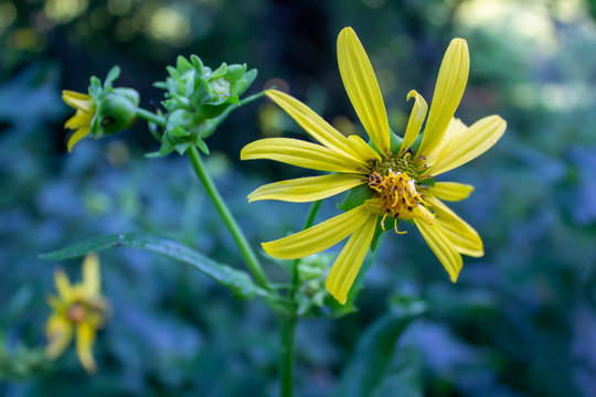 "Austin Koeckeritz"-Bilder: Stock-Fotos & -Videos. | Adobe Stock