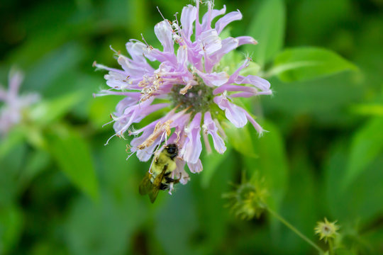 "Austin Koeckeritz"-Bilder: Stock-Fotos & -Videos. | Adobe Stock