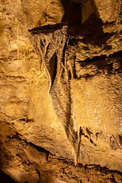 "Austin Koeckeritz"-Bilder: Stock-Fotos & -Videos. | Adobe Stock