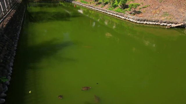 รูปภาพMoat – เลือกดูภาพถ่ายสต็อก เวกเตอร์ และวิดีโอ75,337 | Adobe Stock