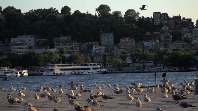 2X Billeder – Gennemse 102,414 stockfotos, vektorer og videoer | Adobe ...