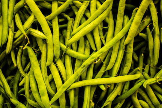 Alverjas Images – Browse 29 Stock Photos, Vectors, and Video | Adobe Stock