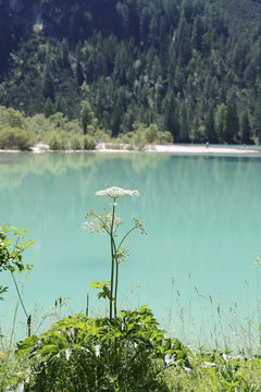 รูปภาพTieno – เลือกดูภาพถ่ายสต็อก เวกเตอร์ และวิดีโอ3 | Adobe Stock