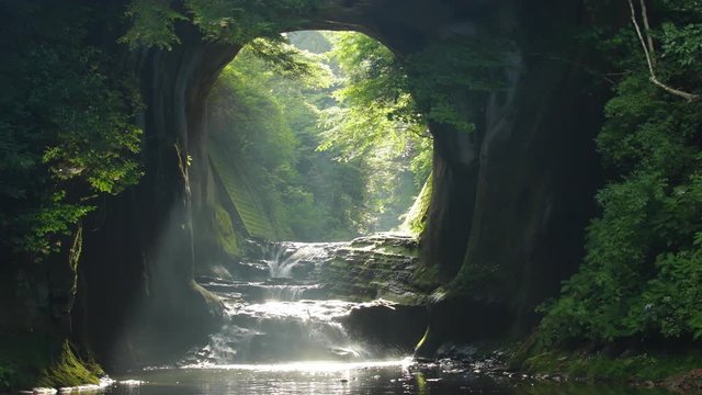 Kimitsu-Bilder: Stock-Fotos & -Videos. | Adobe Stock