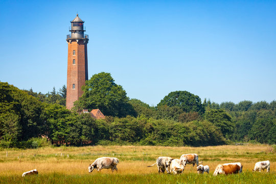 「Neuland」の画像 - 323 件の Stock 写真、ベクターおよびビデオ | Adobe Stock