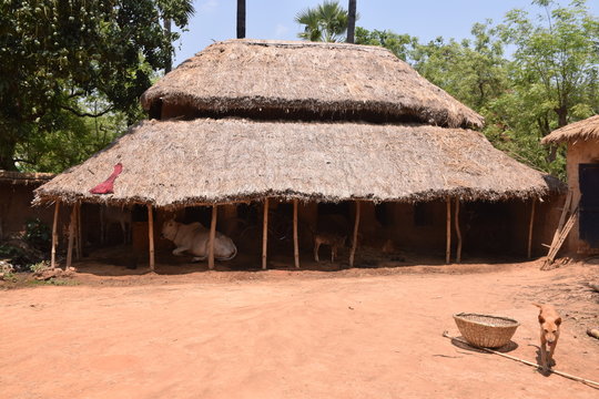 Indian Village Hut