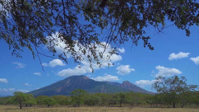 "Baluran National Park" Images – Browse 250 Stock Photos, Vectors, and ...