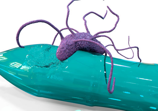 "Ideonella Sakaiensis" Images – Browse 16 Stock Photos, Vectors, and ...