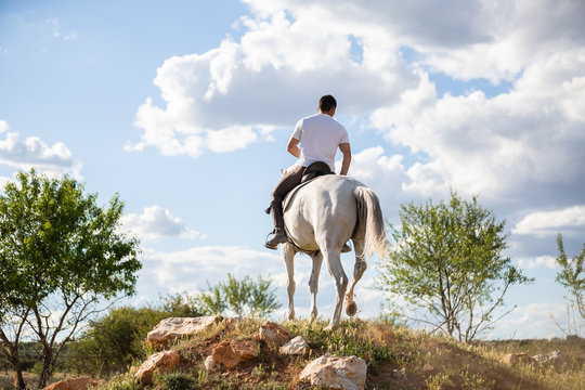 Man Riding White Horse Images – Browse 14,753 Stock Photos, Vectors, and Video | Adobe Stock
