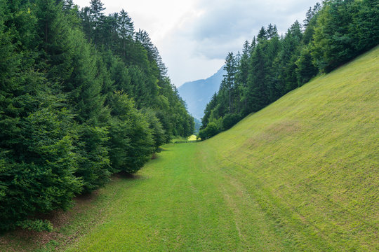 Ansteigende Bilder – Durchsuchen 90 Archivfotos, Vektorgrafiken und ...