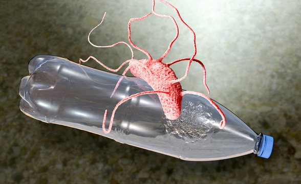 "Ideonella Sakaiensis" Images – Browse 16 Stock Photos, Vectors, and ...