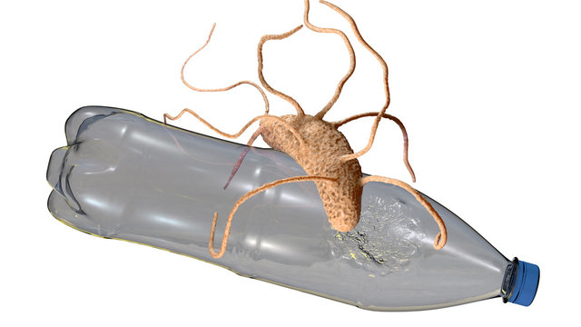 "Ideonella Sakaiensis" Images – Browse 16 Stock Photos, Vectors, and ...