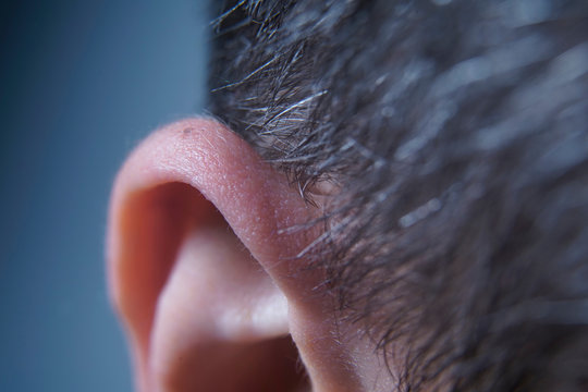 Ohr Images – Browse 27,592 Stock Photos, Vectors, and Video | Adobe Stock