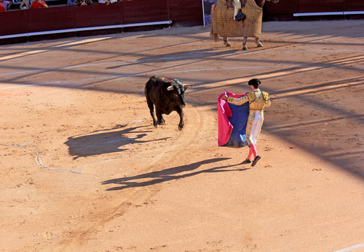 「Tauromachie」の画像 - 1,073 件の Stock 写真、ベクターおよびビデオ | Adobe Stock