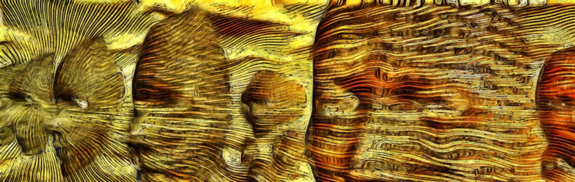 Escheresque Bilder – Durchsuchen 232 Archivfotos, Vektorgrafiken und ...