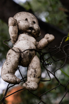 Imágenes de Mugroso: descubre bancos de fotos, ilustraciones, vectores ...