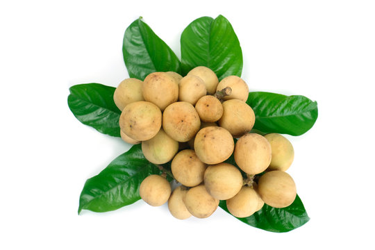 Lanzones bilder – Bläddra bland 3,101 stockfoton, vektorer och videor ...