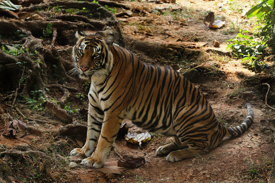 Belang Images – Browse 74 Stock Photos, Vectors, and Video | Adobe Stock