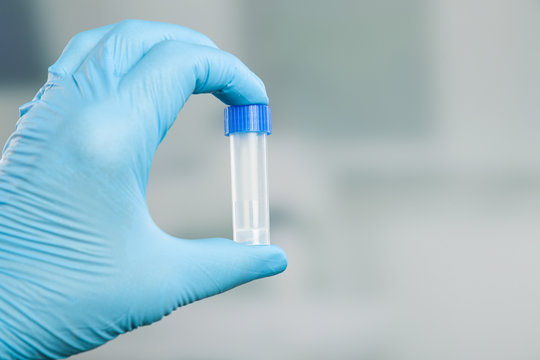 Spermogram bilder – Bläddra bland 306 stockfoton, vektorer och videor ...