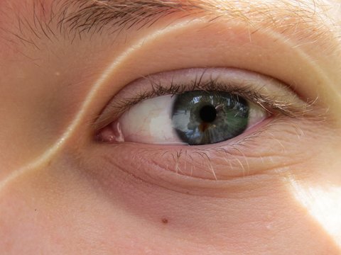 「Wimper」の画像 - 5,725 件の Stock 写真、ベクターおよびビデオ | Adobe Stock