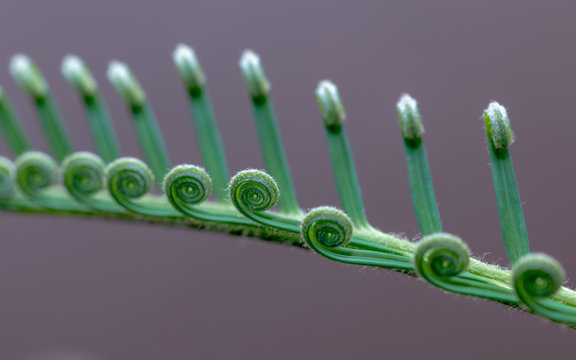 Leef Images – Browse 531 Stock Photos, Vectors, and Video | Adobe Stock