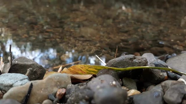 Arrollo bilder – Bläddra bland 184 stockfoton, vektorer och videor ...