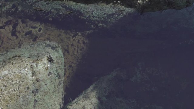 รูปภาพGater – เลือกดูภาพถ่ายสต็อก เวกเตอร์ และวิดีโอ163 | Adobe Stock