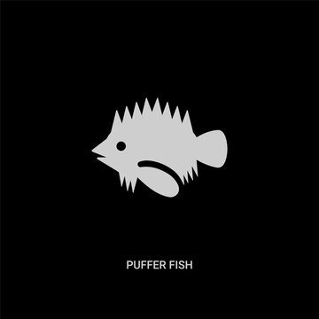 Puffer-Fish Images – Browse 53 Stock Photos, Vectors, and Video | Adobe ...