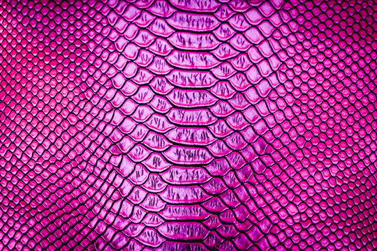 รูปภาพSnake-Skin – เลือกดูภาพถ่ายสต็อก เวกเตอร์ และวิดีโอ34,446 | Adobe ...