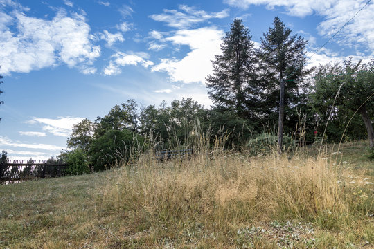 「Grasnarbe」の画像 - 393 件の Stock 写真、ベクターおよびビデオ | Adobe Stock