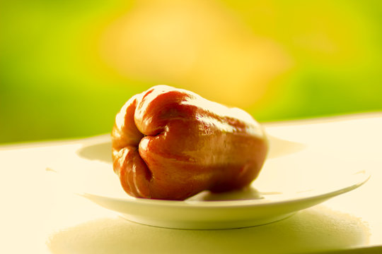 รูปภาพChompu – เลือกดูภาพถ่ายสต็อก เวกเตอร์ และวิดีโอ237 | Adobe Stock