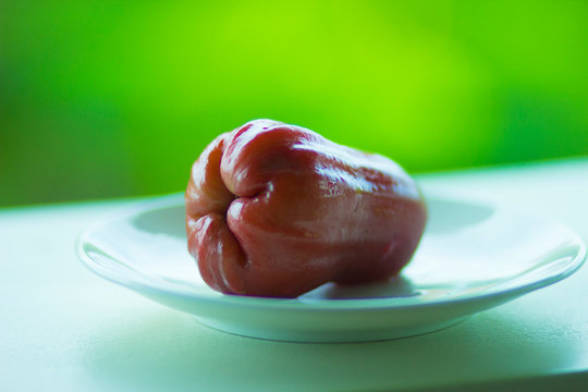 รูปภาพChompu – เลือกดูภาพถ่ายสต็อก เวกเตอร์ และวิดีโอ237 | Adobe Stock