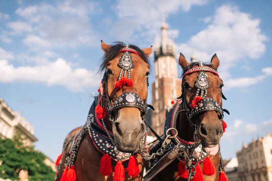 Ebent Bilder – Durchsuchen 68 Archivfotos, Vektorgrafiken und Videos ...