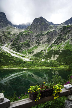 Plese Images – Browse 61 Stock Photos, Vectors, and Video | Adobe Stock