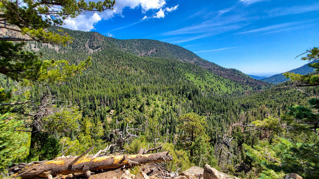 Philmont Images – Browse 28 Stock Photos, Vectors, and Video | Adobe Stock