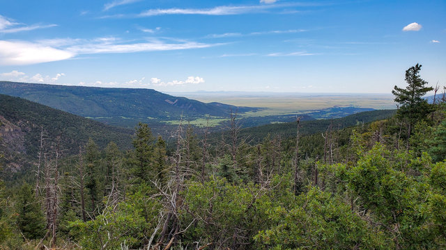 Philmont Images – Browse 28 Stock Photos, Vectors, and Video | Adobe Stock