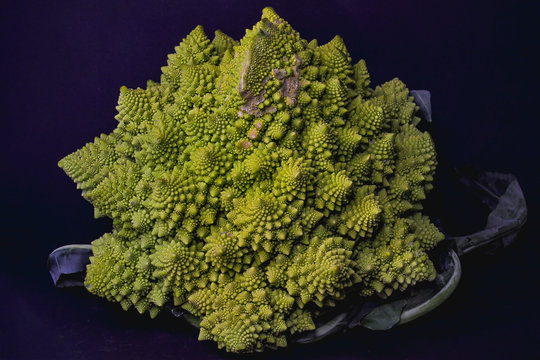 Romanescu Bilder – Durchsuchen 409 Archivfotos, Vektorgrafiken und ...