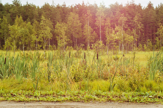 รูปภาพLuga – เลือกดูภาพถ่ายสต็อก เวกเตอร์ และวิดีโอ1,526 | Adobe Stock