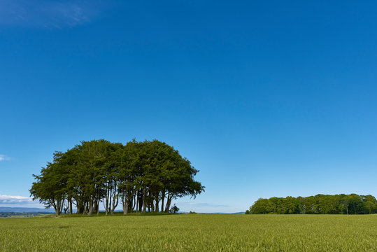 Strathmore Images – Browse 109 Stock Photos, Vectors, and Video | Adobe ...