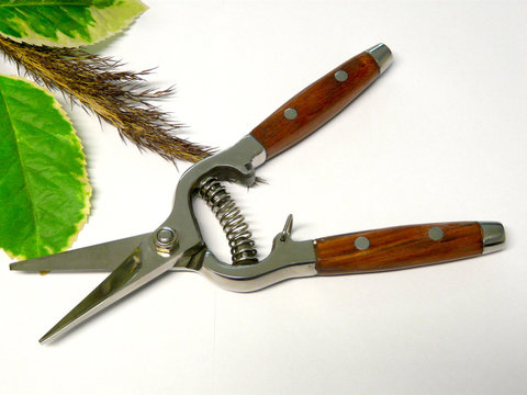 Scherung Bilder – Durchsuchen 313 Archivfotos, Vektorgrafiken und ...