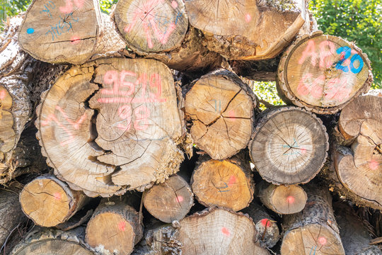 Rohmaterial bilder – Bläddra bland 888 stockfoton, vektorer och videor ...