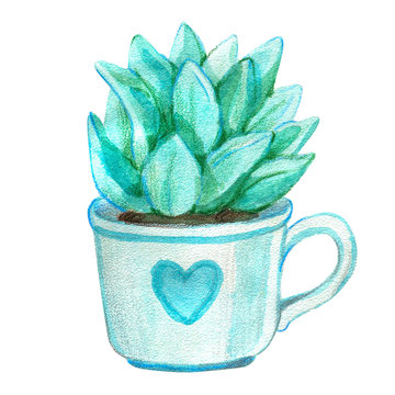 "Cactus Print" Bilder – Durchsuchen 271 Archivfotos, Vektorgrafiken und ...