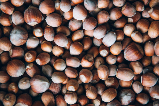 "Acorn Texture" Images – Browse 6 Stock Photos, Vectors, and Video ...