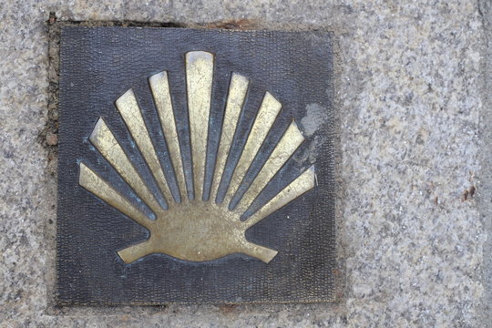 "Concha De Vieira" Images – Browse 32 Stock Photos, Vectors, and Video ...