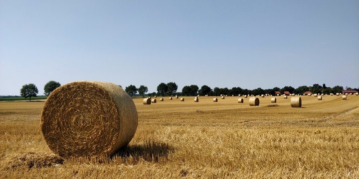 รูปภาพStroh – เลือกดูภาพถ่ายสต็อก เวกเตอร์ และวิดีโอ33,548 | Adobe Stock