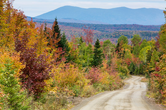 "Corduroy Road" Images – Browse 598 Stock Photos, Vectors, and Video ...